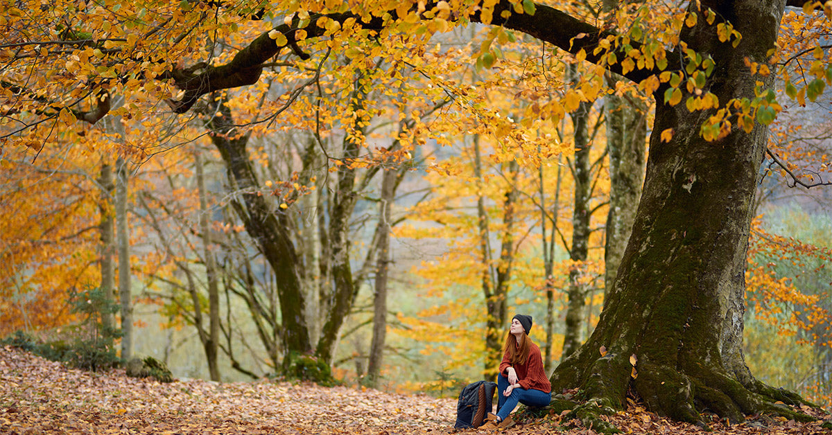 ¿Qué les pasa a las plantas en otoño?